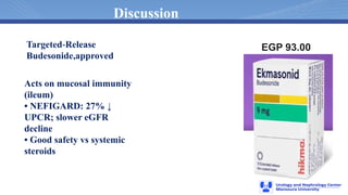 IgA Nephropathy: overview of Clinical trials (Journal Club) | PPTX