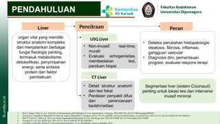 Anatomi Radiologi Liver: Karakteristik Normal dan Interpretasi ...
