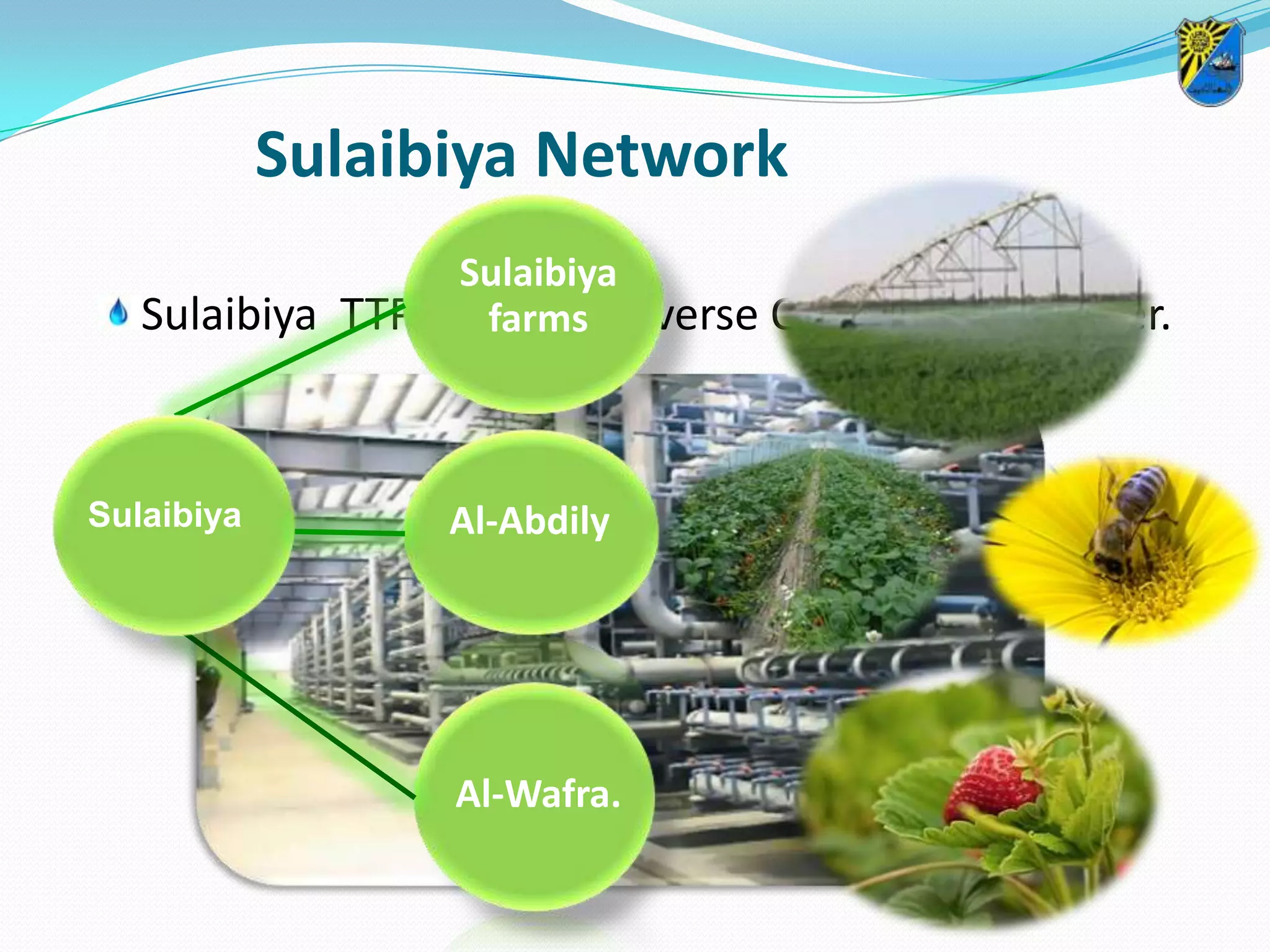 Dr. Abrar Al Jadi & Ms. Sara Al Sabah - Analysis of Kuwait Sanitary ...