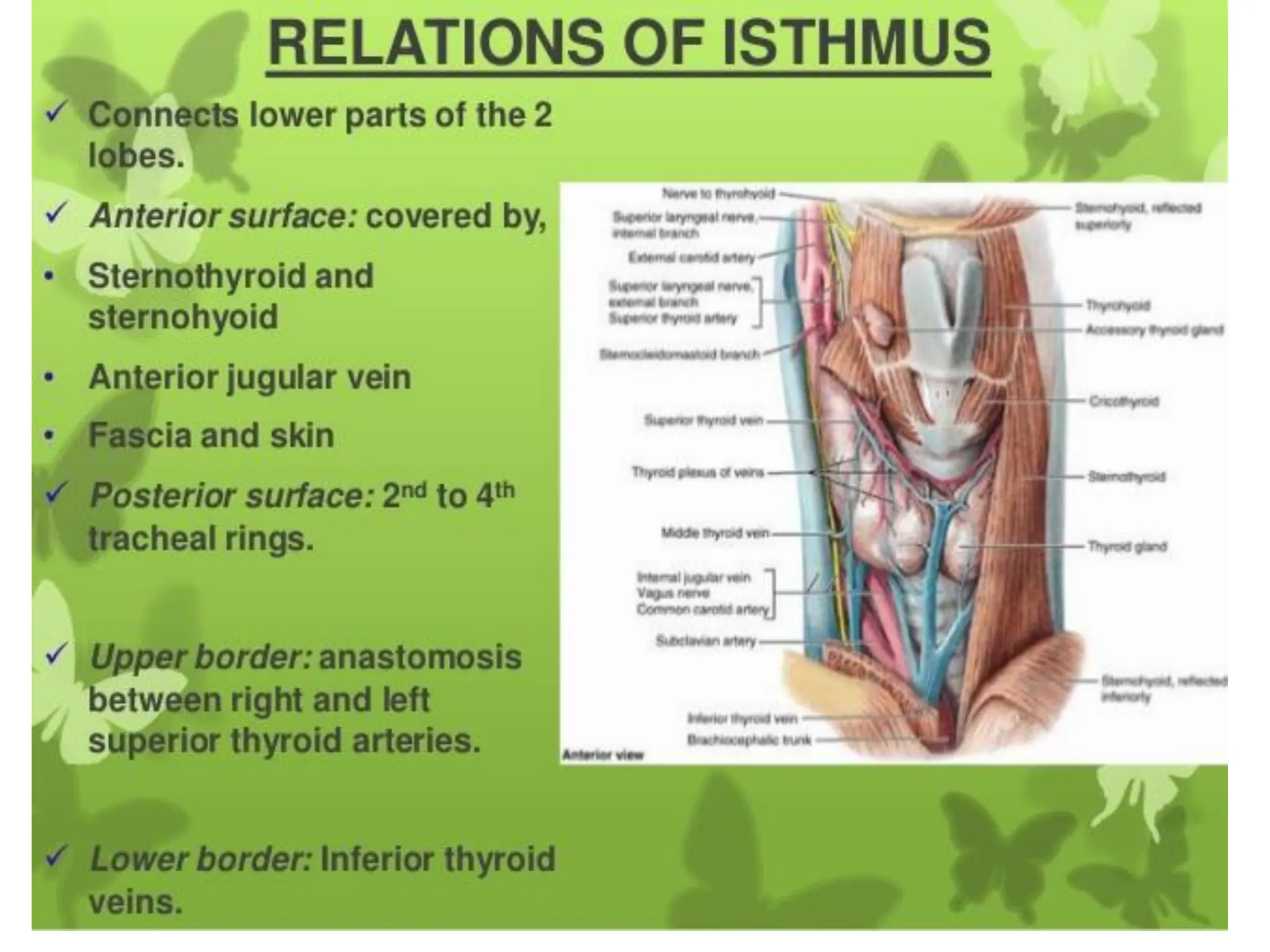 Dr-Akpalaba-Immaculata-ANATOMY-OF-THE-THYROID-GLAND.pdf