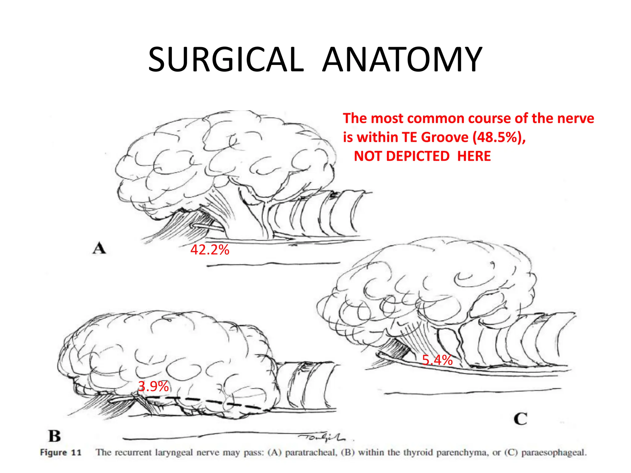 Dr-Akpalaba-Immaculata-ANATOMY-OF-THE-THYROID-GLAND.pdf