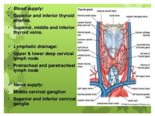 Dr-Akpalaba-Immaculata-ANATOMY-OF-THE-THYROID-GLAND.pdf