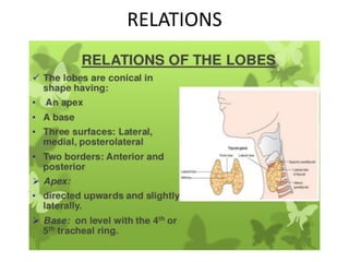 Dr-Akpalaba-Immaculata-ANATOMY-OF-THE-THYROID-GLAND.pdf