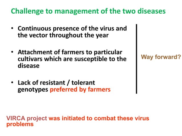 Dr. Douglas Miano - Overview of the Virus Resistant Cassava (VIRCA ...