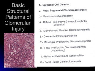 GLOMERULONEPHRITIS:What is New | PPT