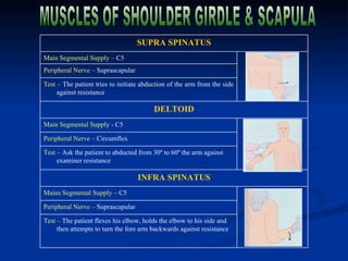 ,motor examination | PPT