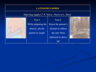 ,motor examination | PPT