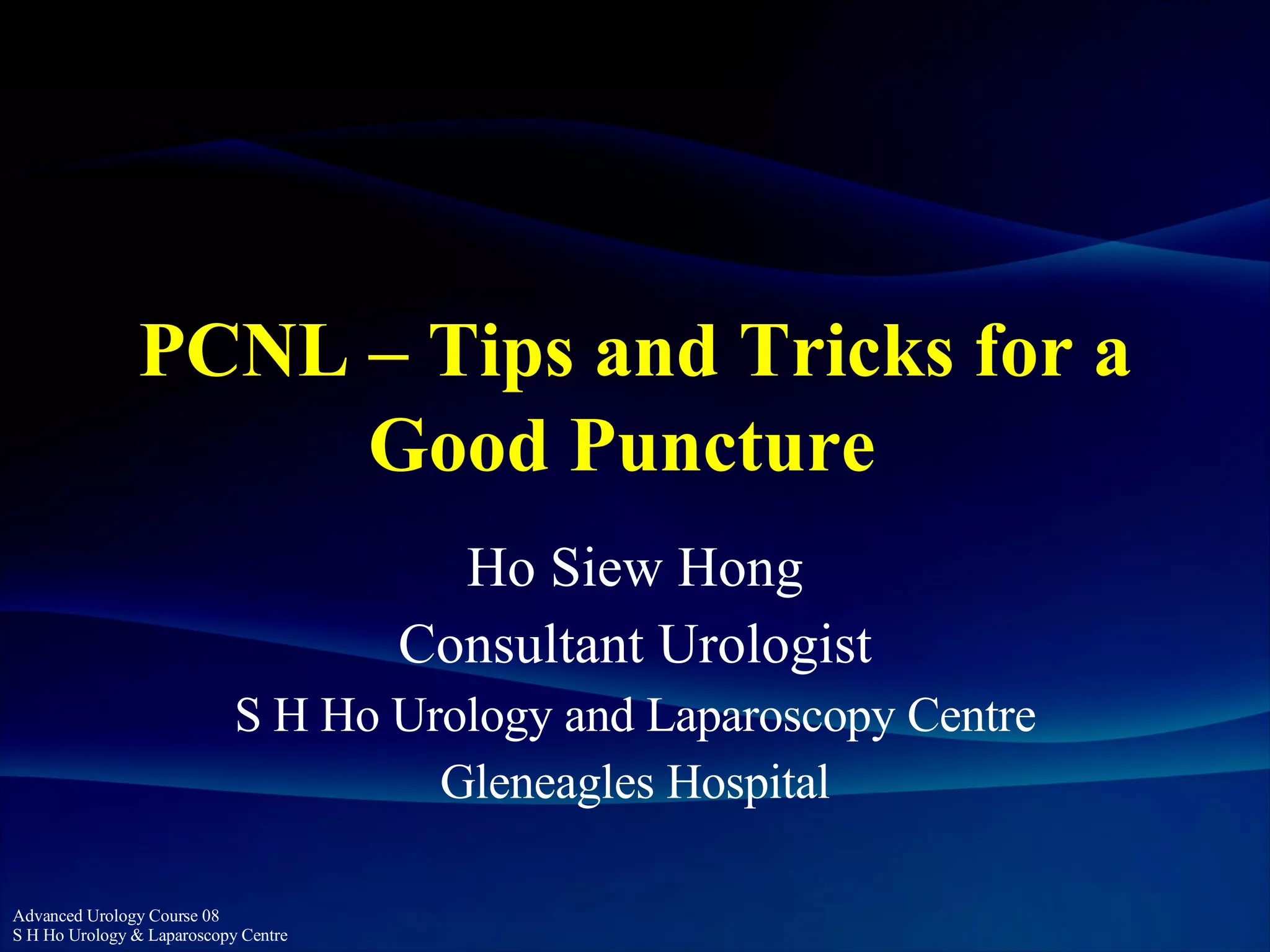 PCNL - the Perfect Puncture | PPT