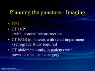 PCNL - the Perfect Puncture | PPT