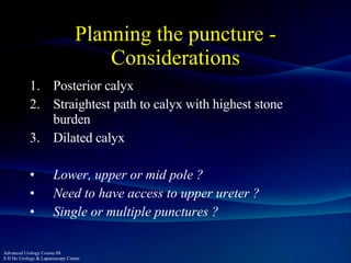 PCNL - the Perfect Puncture | PPT