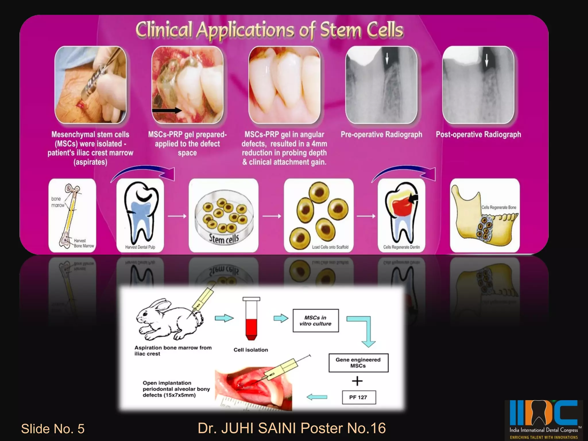 Dr. Juhi Saini | PPT