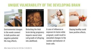 Dr. Meliones Presentation | PPTX