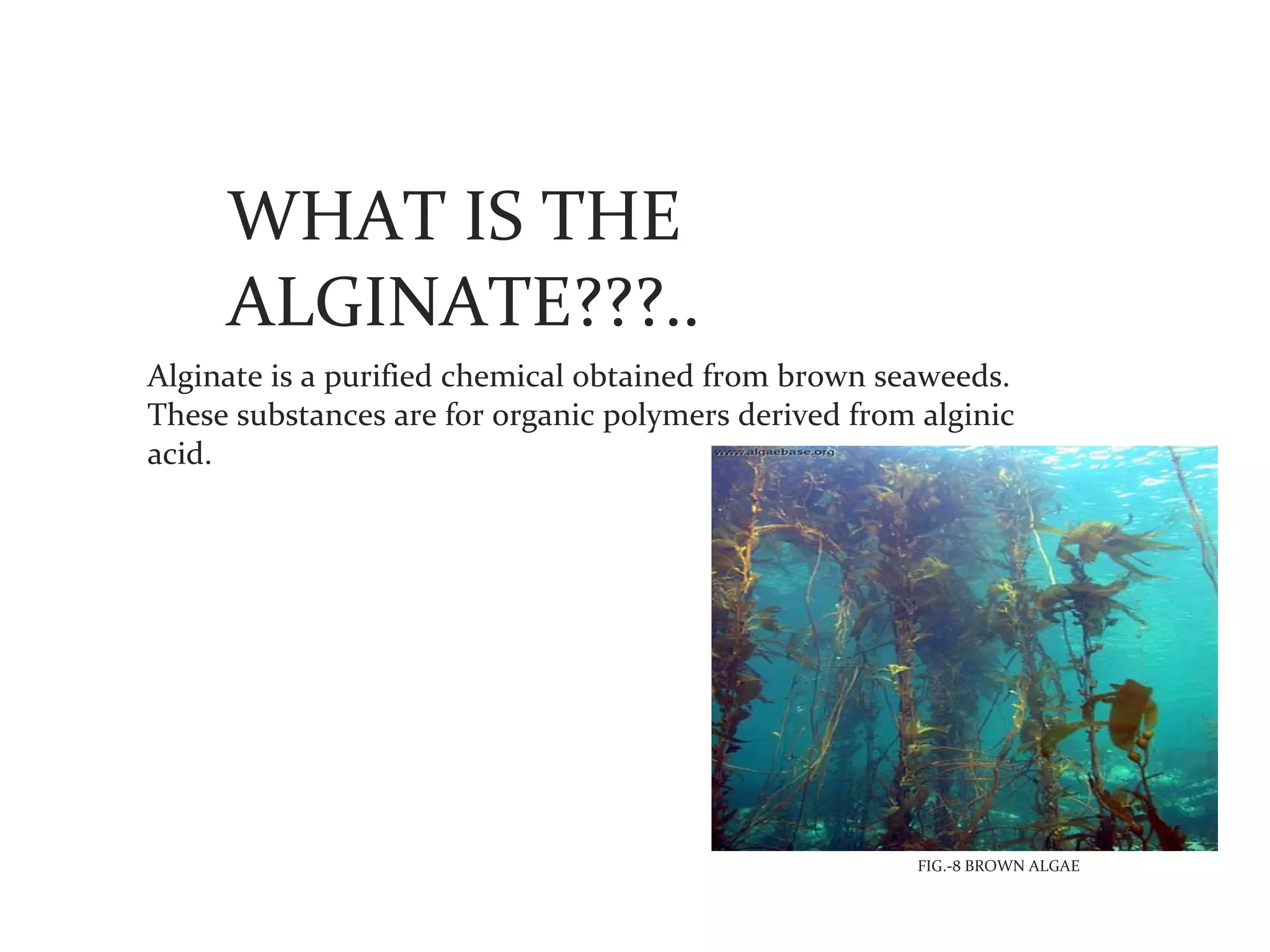 alginatos | PDF
