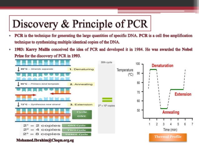 Real-Time rt PCR & Its Applications | PPT