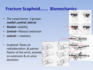 Dr. nagamunindrudu fractures of scaphoid | PPTX