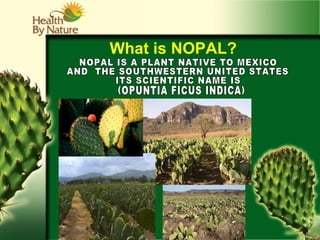 Dr.Nopal | PPS