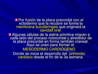 Dr.Ppt EmbriologíA2 | PPT