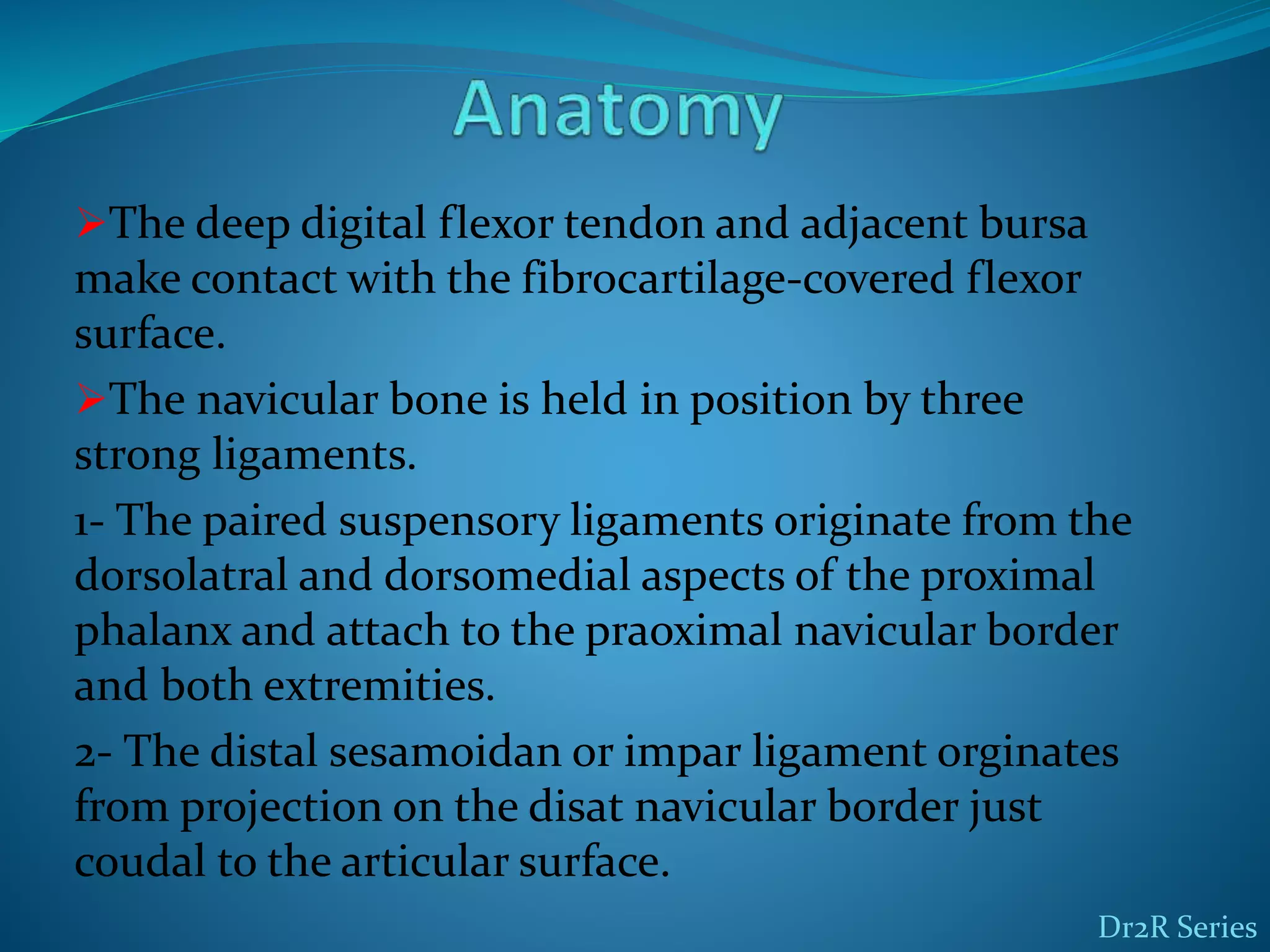 Dr rahimzadeh-navicular syndrome | PPTX