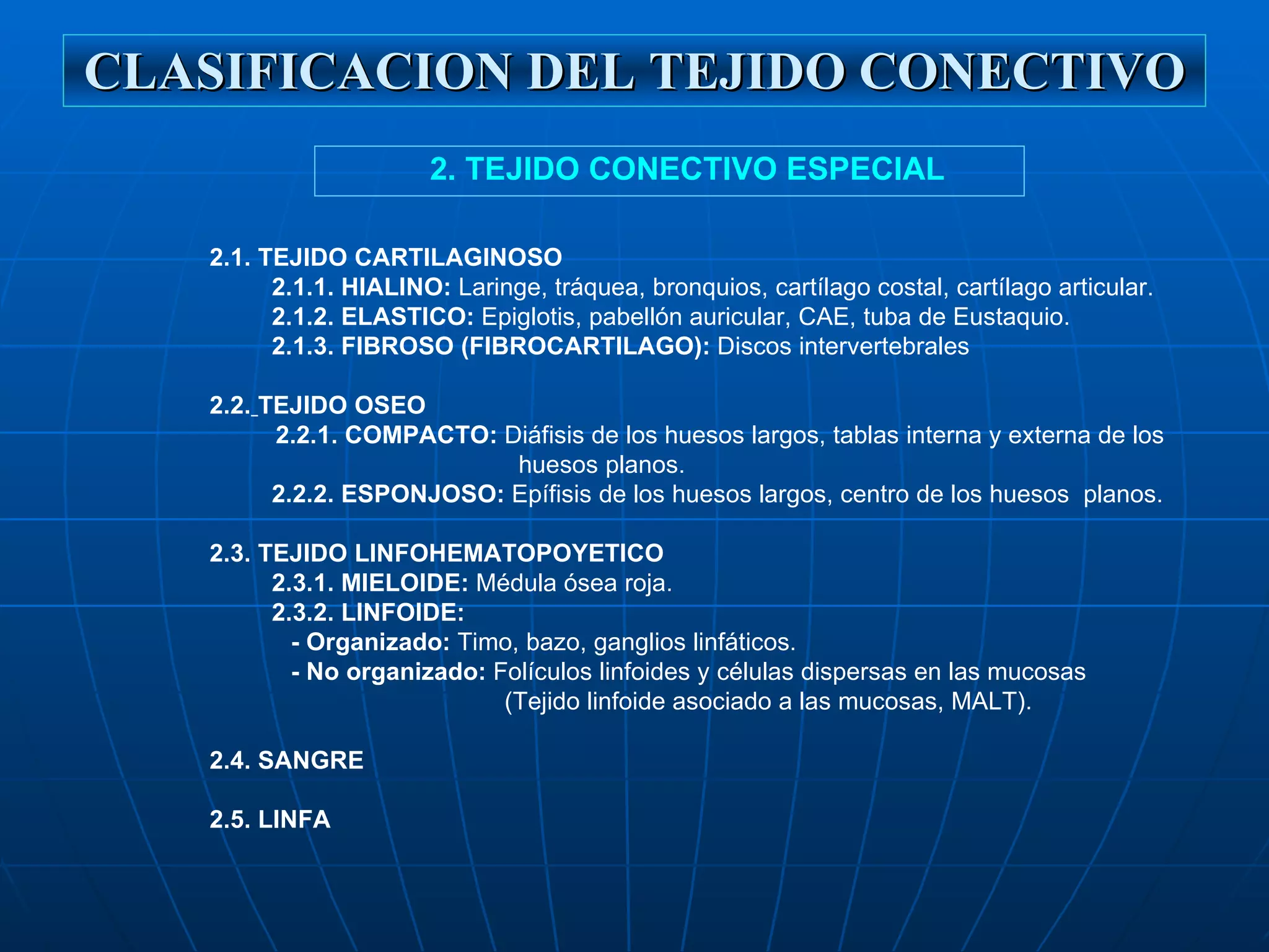 Tejido Conectivo Especial - Dr. Requena Upao - Medicina | PPT | Blood ...