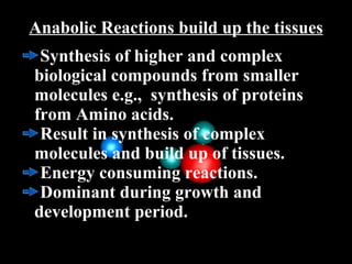 (Dr. saleem) overview of metabolism & bioenergetics i | PPT