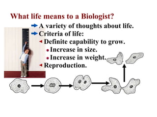 (Dr. saleem) overview of metabolism & bioenergetics i | PPT
