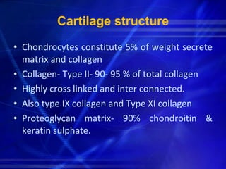Knee Cartilage surgery in India | PPT