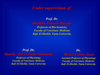 Dr. zaghloul ماجستير | PPT