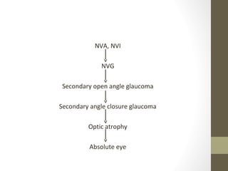 Diabetic Retinopathy | PPT