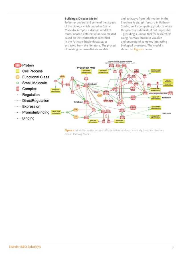 Analysis of gene expression microarray data of patients with Spinal Muscular Atrophy in Pathway ...