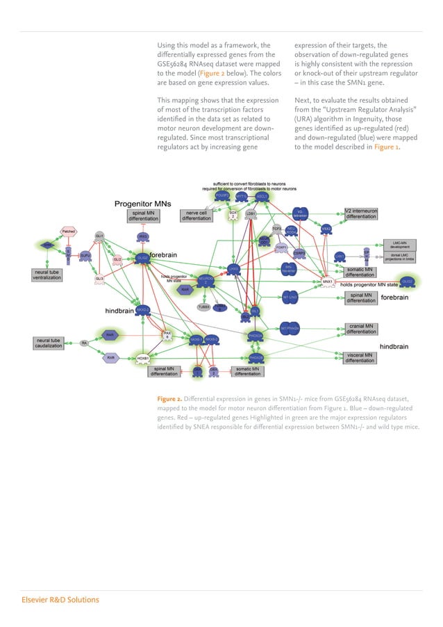 Analysis of gene expression microarray data of patients with Spinal Muscular Atrophy in Pathway ...
