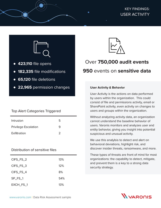 Sample of The Varonis Data Risk Assessment | PDF | Operating Systems | Computer Software and ...