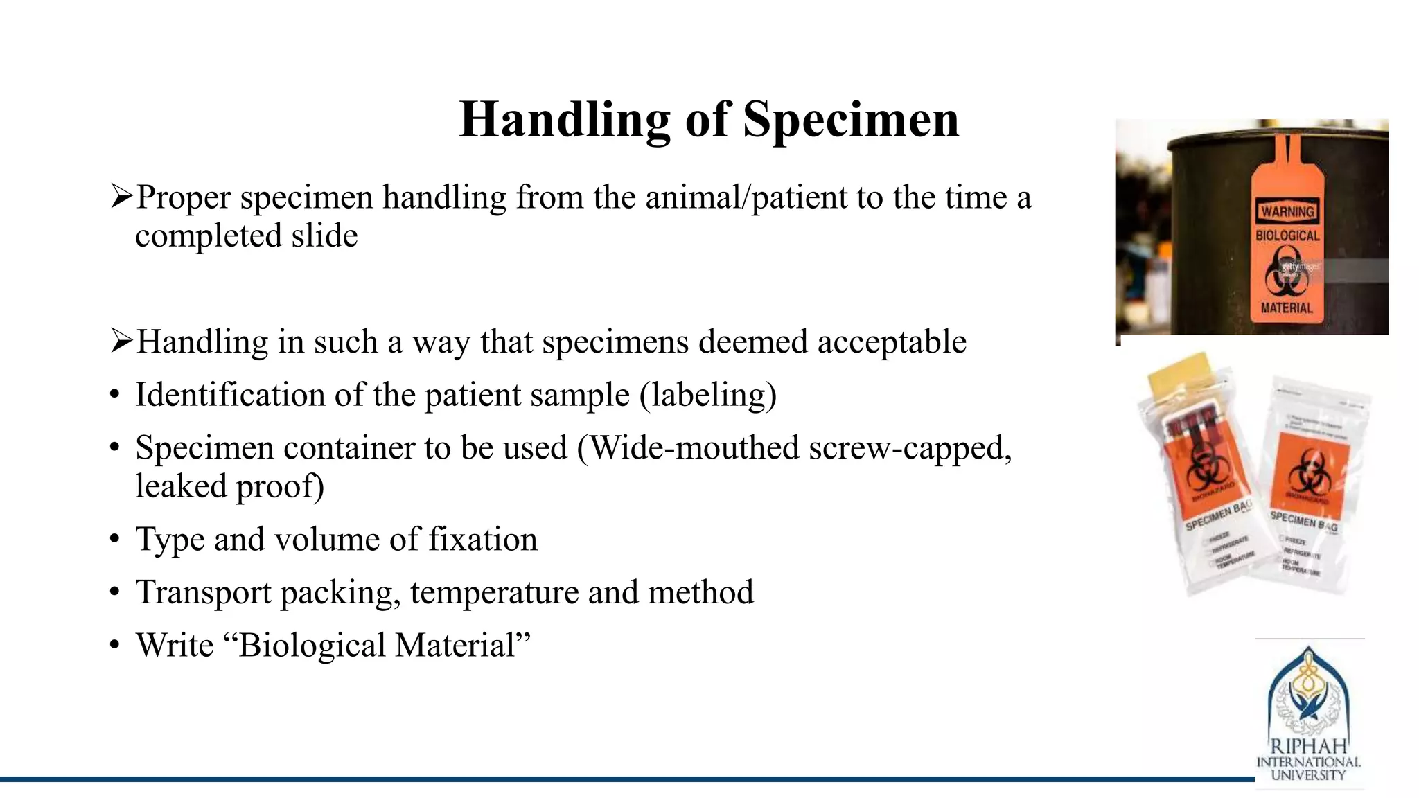 Gross Examination, Selection, Collection and Fixation of Specimen | PPTX