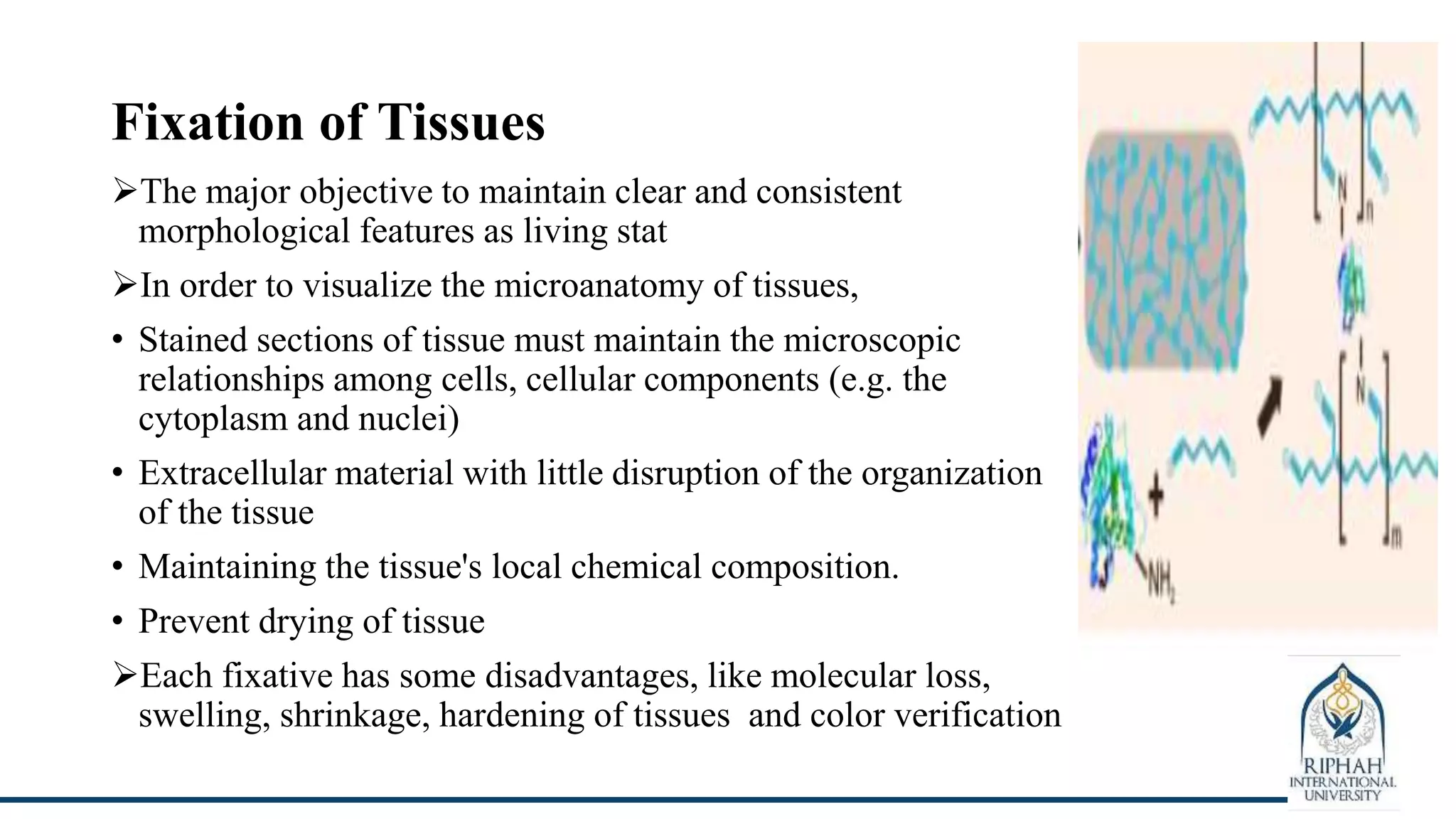 Gross Examination, Selection, Collection and Fixation of Specimen | PPTX