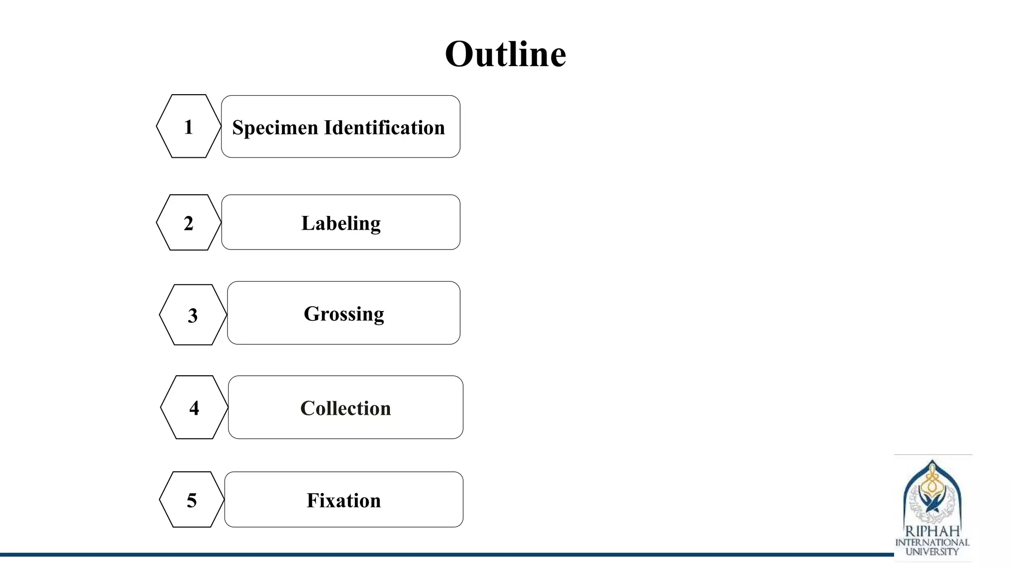 Gross Examination, Selection, Collection and Fixation of Specimen | PPTX