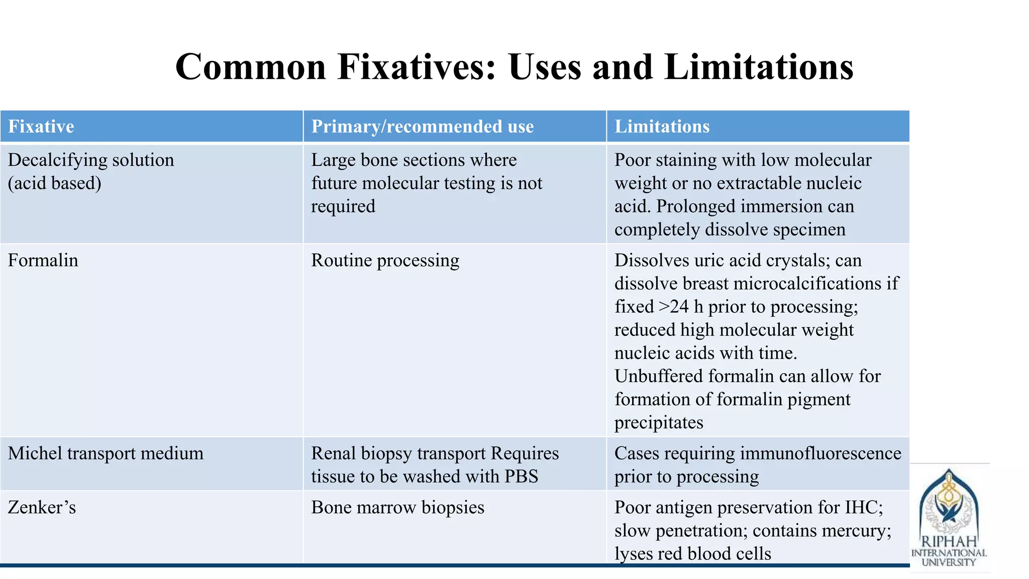 Gross Examination, Selection, Collection and Fixation of Specimen | PPTX