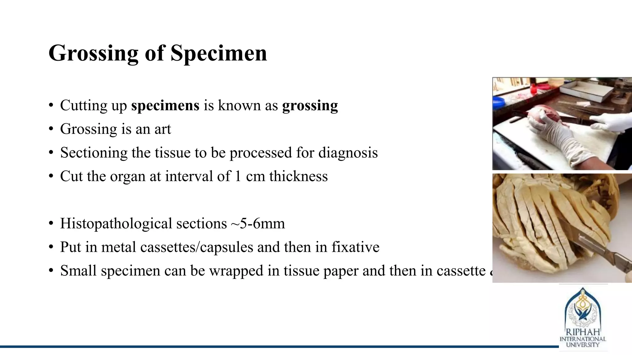 Gross Examination, Selection, Collection and Fixation of Specimen | PPTX