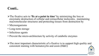 Gross Examination, Selection, Collection and Fixation of Specimen | PPTX