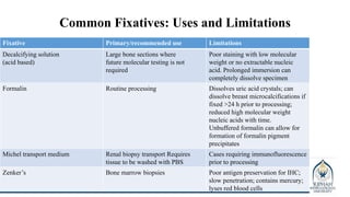 Gross Examination, Selection, Collection and Fixation of Specimen | PPTX