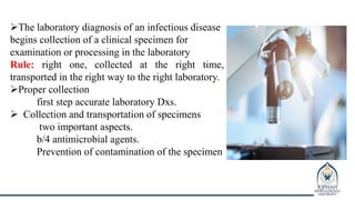 Gross Examination, Selection, Collection and Fixation of Specimen | PPTX