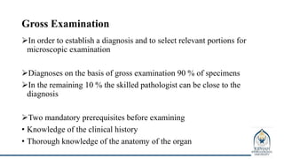 Gross Examination, Selection, Collection and Fixation of Specimen | PPTX