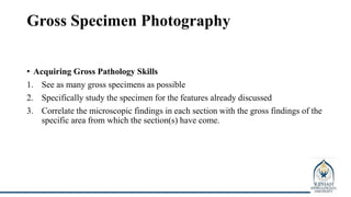 Gross Examination, Selection, Collection and Fixation of Specimen | PPTX