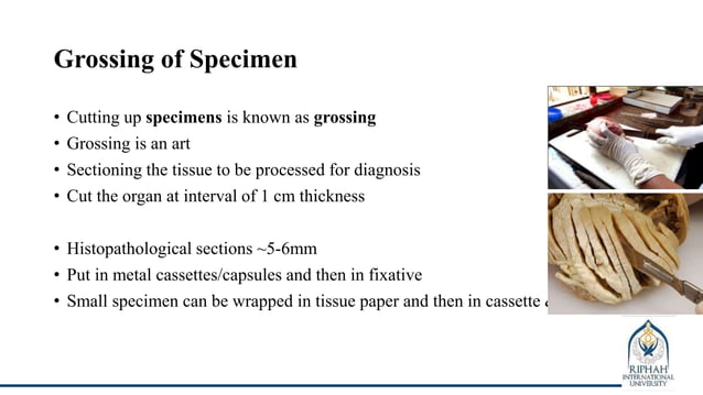 Gross Examination, Selection, Collection and Fixation of Specimen | PPTX