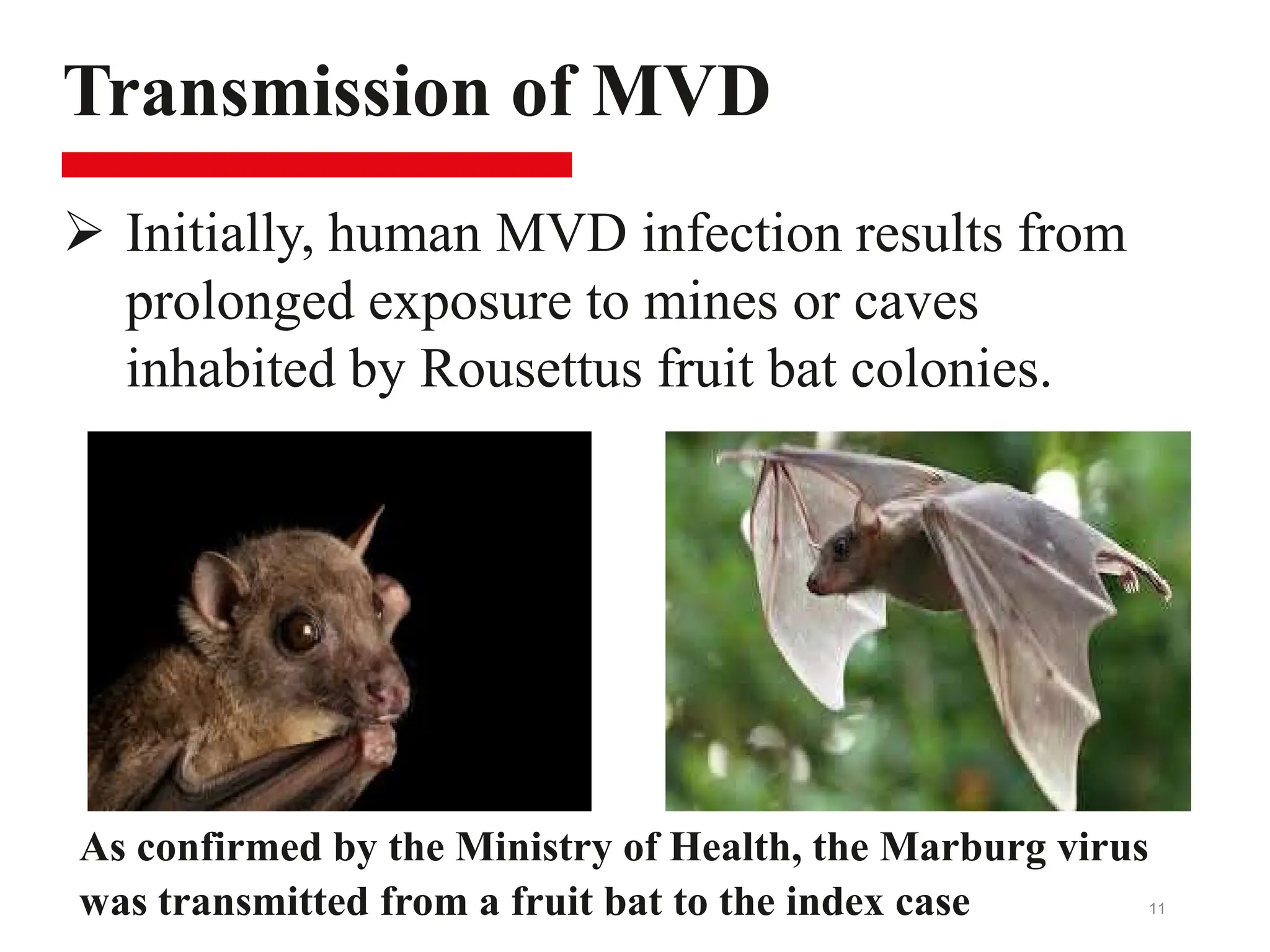 Marburg Viral Disease (MVD) an outbreak at Jinka, Ethiopia 2025 | PDF