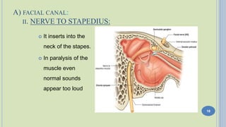DR AB's facial nerve applied anatomy and palsy (PG) | PPTX
