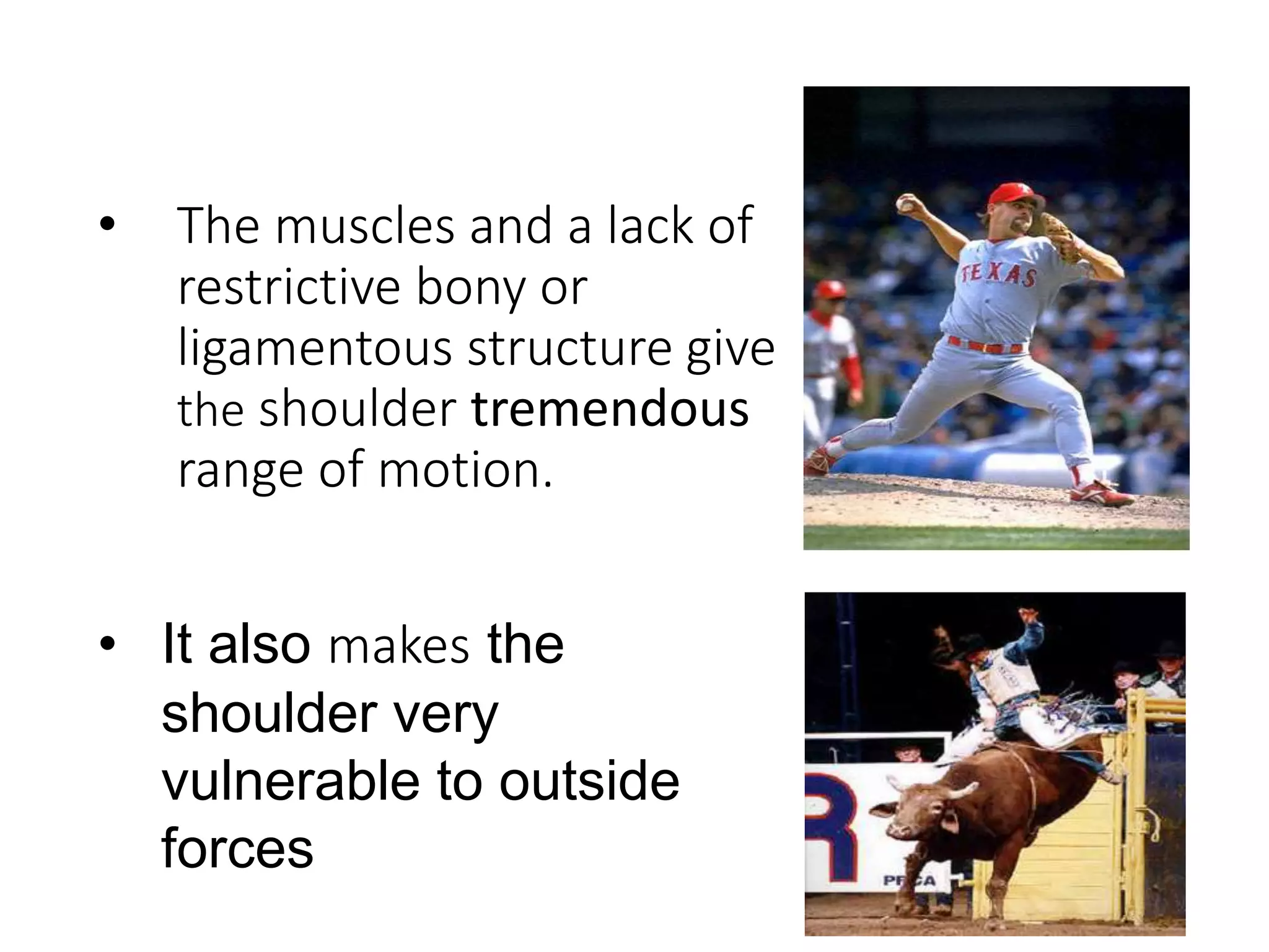 Shoulder Injuriespptx