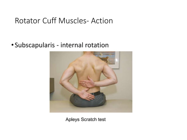 Shoulder Injuriespptx