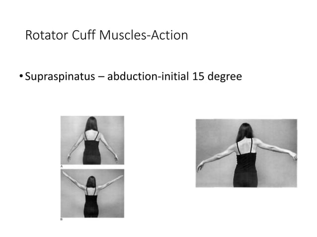 Shoulder Injuriespptx