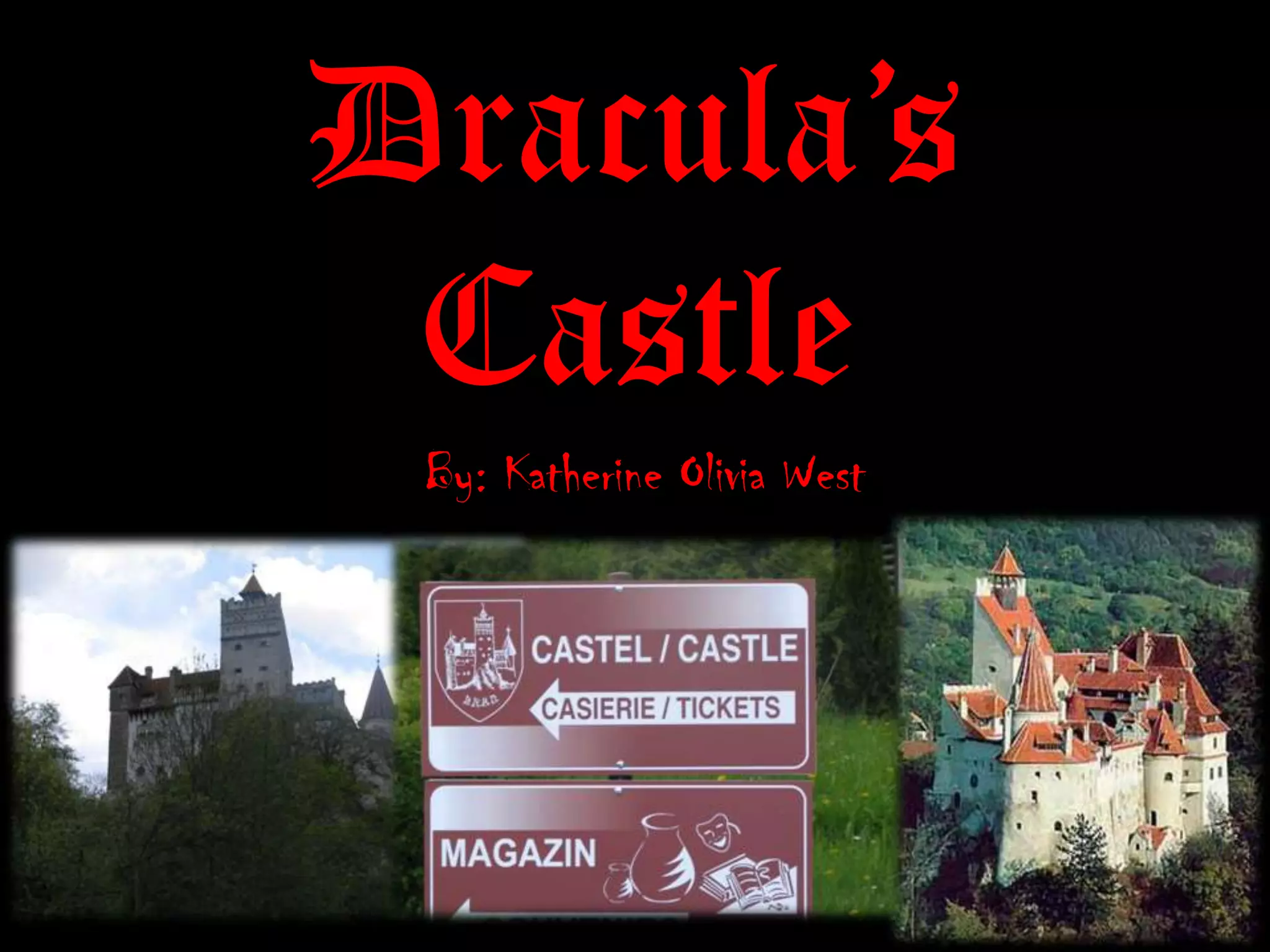 Draculas Castle house project | PPT
