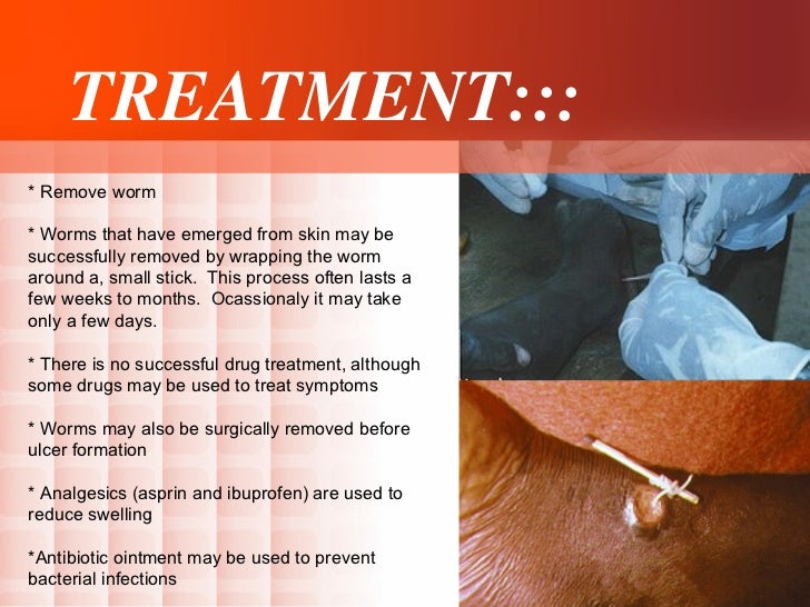 Dracunculiasis (Dracunculus medinensis) (guinea worm disease)