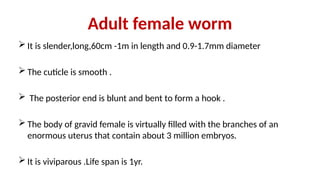 dracunculusrhrtrtmryj-220328011535 (1).pptx